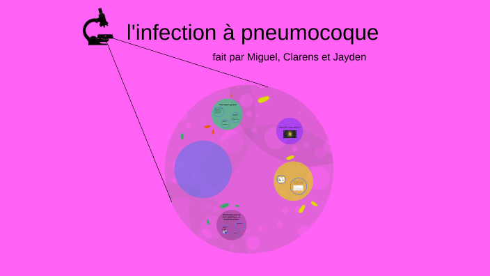 l`infection à pneumocoque by flores miguel on Prezi