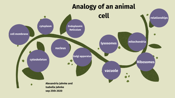 analogy of a cell by Alexandria Jahnke on Prezi