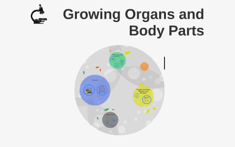 Growing Organs and Body Parts by Elizabeth Crandall