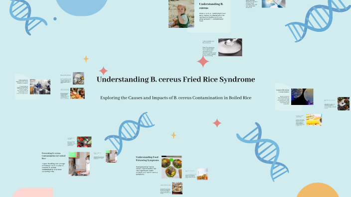 Understanding B. cereus Fried Rice Syndrome by raneem yacoub on Prezi