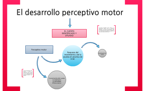 El desarrollo perceptivo motor by JOSE MANUEL ORDAZ LOPEZ on Prezi
