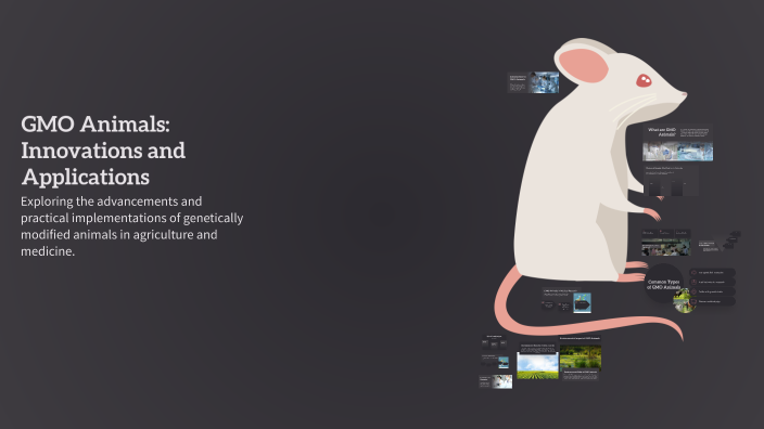 GMO Animals: Innovations and Applications by Jenna Cutsforth on Prezi