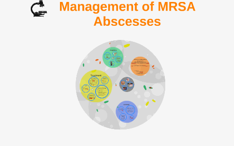 Management of MRSA Abscesses by Naveen Nandanan on Prezi