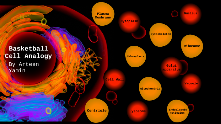 Basketball cell analogy by Arteen Yamin on Prezi