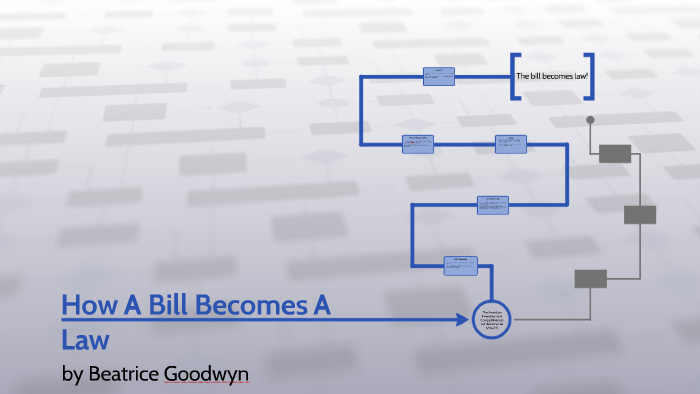 How A Bill Becomes A Law by Beatrice Goodwyn on Prezi