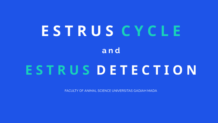 Estrus Cycle and Estrus Detection by M R on Prezi