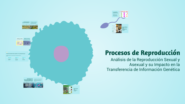 Procesos de Reproducción by Erick Aguilar on Prezi