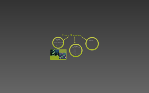 PePe time by felipe cardona on Prezi