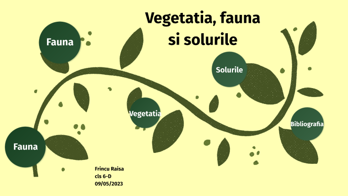 Vegetatia, fauna si solurile by frincu ariana on Prezi