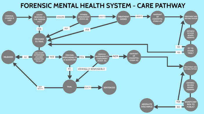 FORENSIC MH SYSTEM by Hummingbird Lodge on Prezi