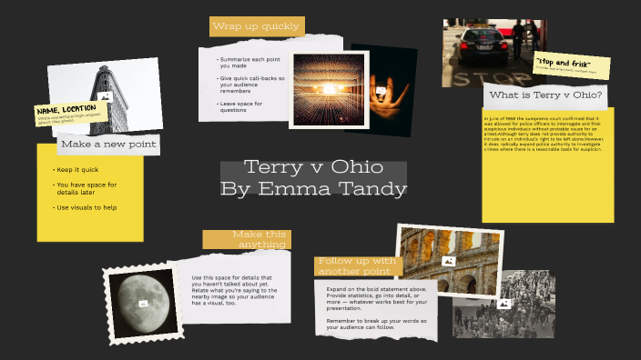 Terry v Ohio by emma tandy on Prezi
