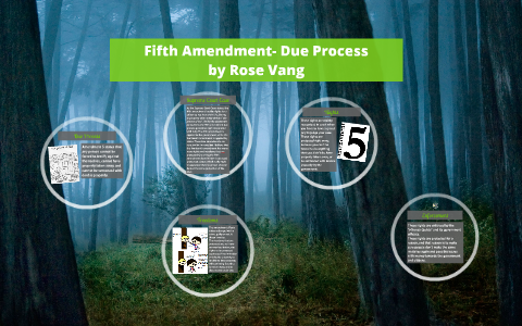 Fifth Amendment- Due Process by Rose Vang on Prezi
