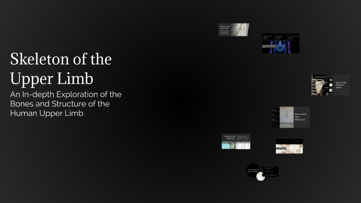 Skeleton of the Upper Limb by Ahmed Ghareeb Mohamed Abdo on Prezi