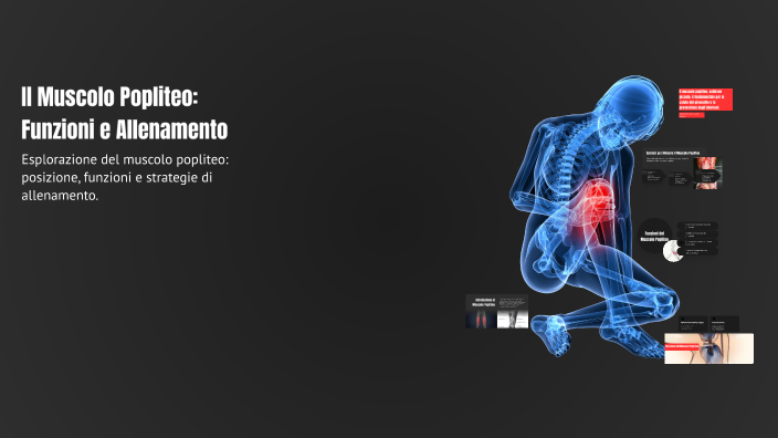Il Muscolo Popliteo: Funzioni e Allenamento by Chiara Ginevra Gomez ...