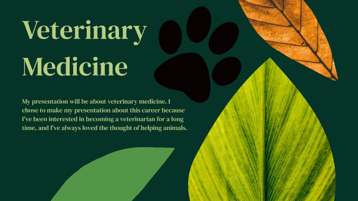 Career Exploration Project Presentation by Simone Koski on Prezi