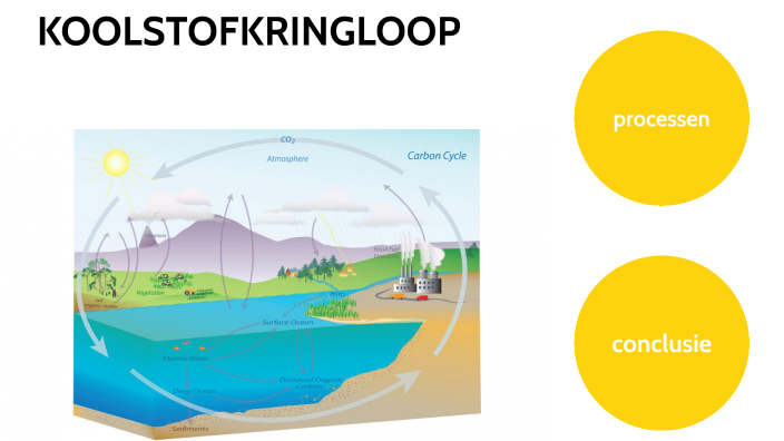 koolstofkringloop by Tibe07 on Prezi
