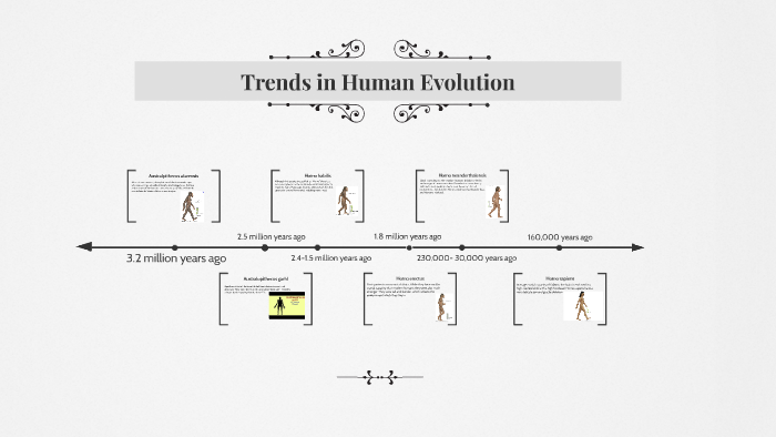 Trends in Human Evolution by Kaleigh Gonzales on Prezi