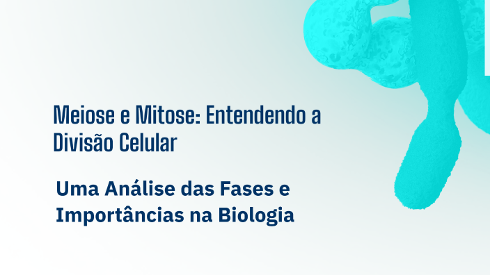 Meiose E Mitose Entendendo A Divisão Celular By Helio Oliveira Seixas