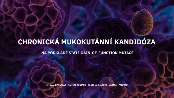 CMC by Agi Vačkářová on Prezi