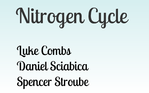 Nitrogen Cycle by Spencer Stroube on Prezi