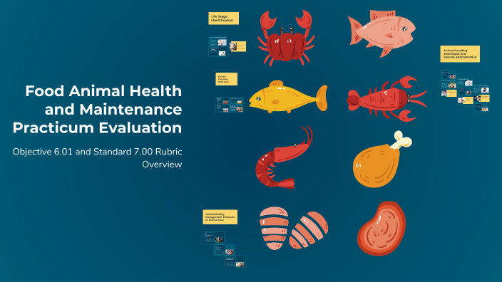 Food Animal Health and Maintenance Practicum Evaluation by Colin Elkins ...