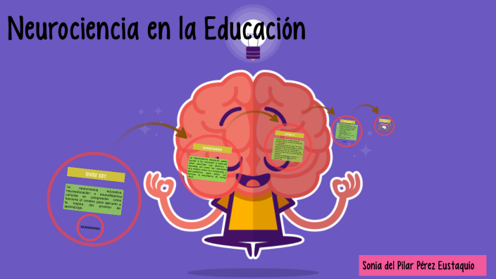 Neurociencia en la Educación by Sonia Pérez Eustaquio on Prezi