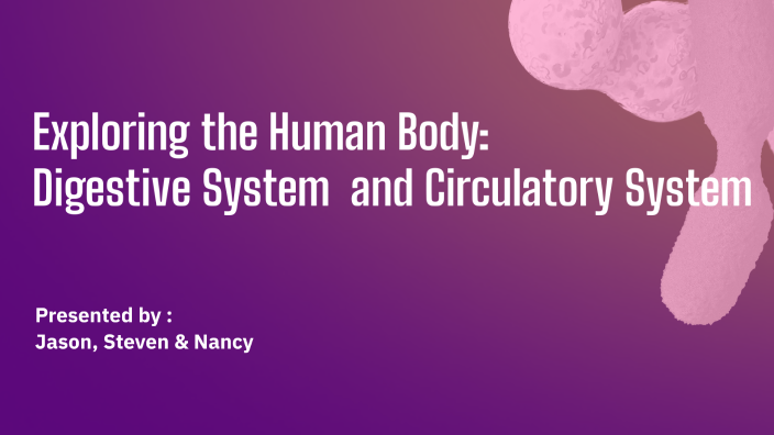 Digestive system & Circulatory system (Cardiovascular) by Nancy N on Prezi