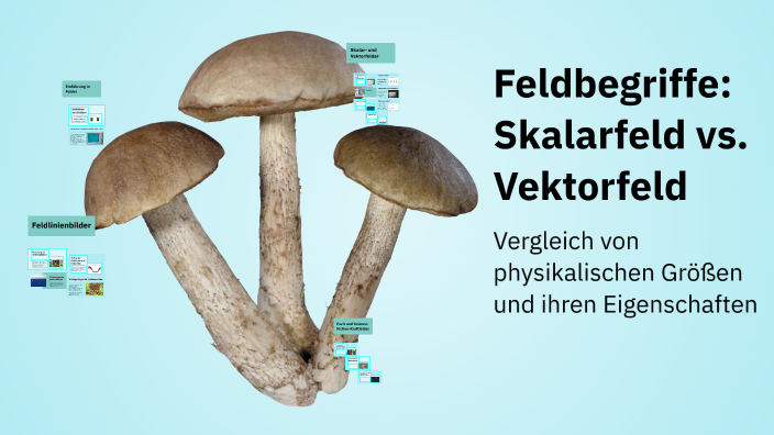Feldbegriffe: Skalarfeld vs. Vektorfeld by Alexander Hudsky on Prezi