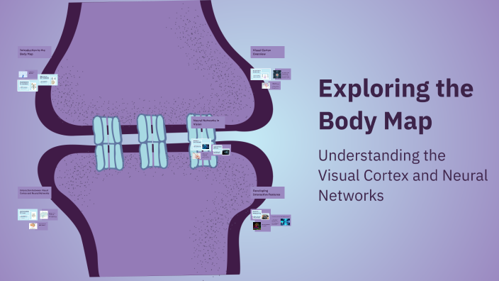 Exploring the Body Map by Luca Makarigakis on Prezi