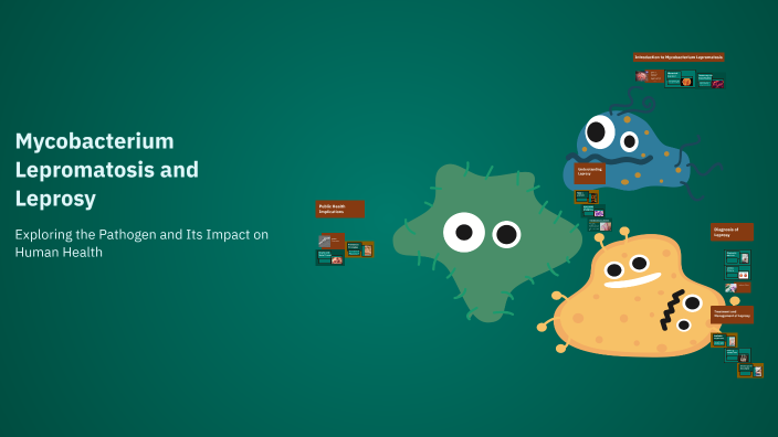 Mycobacterium Lepromatosis and Leprosy by Jasmin on Prezi