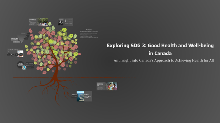 Exploring SDG 3: Good Health and Well-being in Canada by Tanisha ...