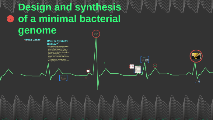 Design and synthesis of a minimal bacterial genome by Hafssa Chbihi on ...