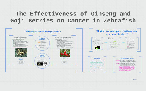 The Effectiveness of Ginseng and Goji Berries on Cancer in Z by on Prezi