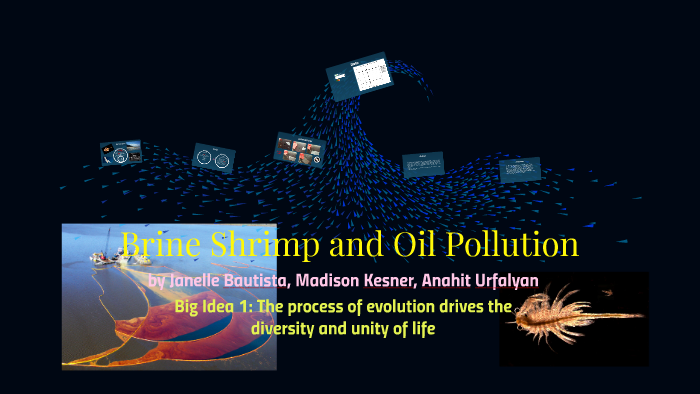 Brine Shrimp and Oil Pollution by Janelle Bautista on Prezi