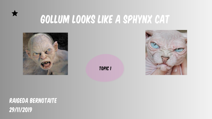 gollum looks like a sphynx cat by raigeda Bernotaite on Prezi