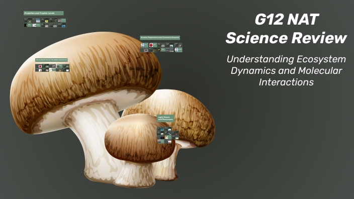 G12 NAT Science Review by Anastacio Mendizabal Jr on Prezi