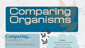 Comparing Organisms by Dennyelle Eapen [Student] on Prezi Design