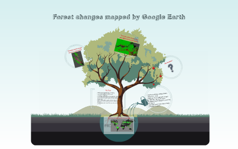 Forest changes mapped by Google Earth by Abbie O'Connor on Prezi