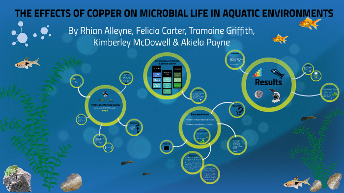 THE EFFECTS OF COPPER ON MICROBIAL LIFE IN AQUATIC ENVIRONME by ...