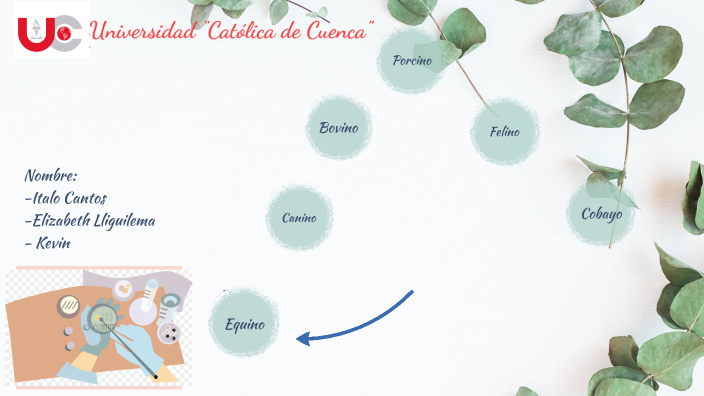 Fórmula vertebral de los animales domésticos by Elizabeth Lliguilema ...