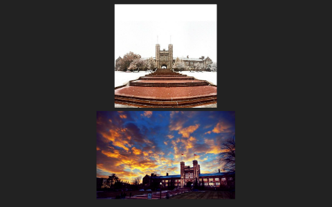 Ophthalmology by Khadijah Davis on Prezi