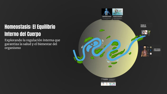 Homeostasis: El Equilibrio Interno del Cuerpo by Gloria Brito on Prezi