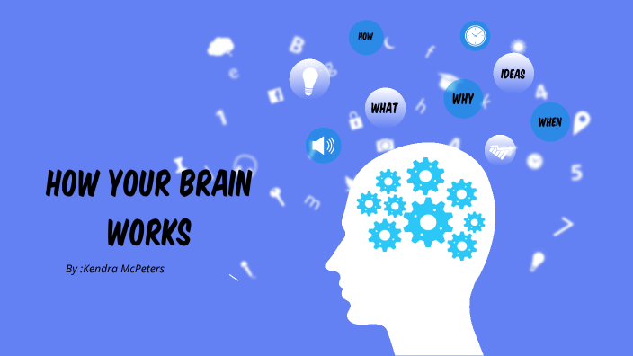 how simple actions make the brain work by Kendra McPeters on Prezi