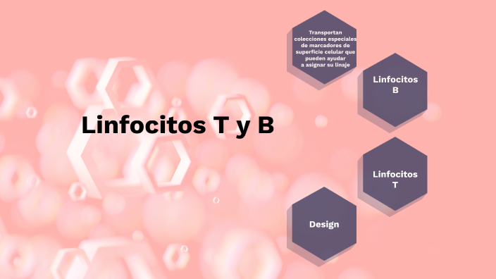 Linfocitos T y B by Bernardo Canto Chupos on Prezi
