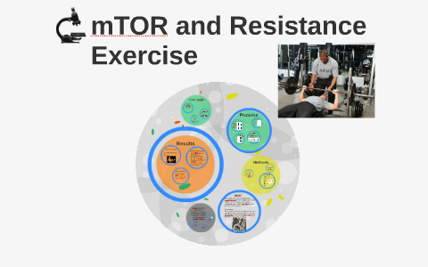 mTOR and Resistance Exercise by Alex Lopez on Prezi