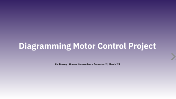 Diagramming Motor Control Project by Olivia Borsey on Prezi