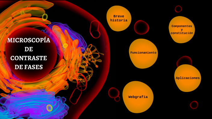 MICROSCOPÍA DE CONTRASTE DE FASES by NEREA INSUA LUNA on Prezi