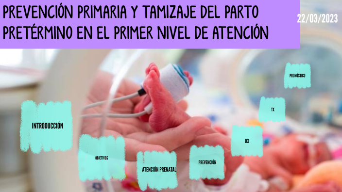 guia parto pretermino by Karina Mejia on Prezi