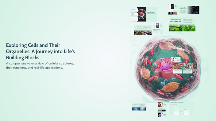 Exploring Cells and Their Organelles: A Journey into Life's Building ...