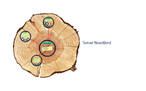 Sonae NovoBord by Patrick Cloete on Prezi